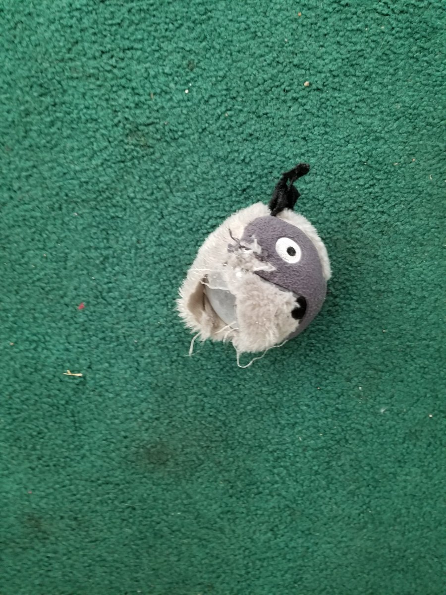 The psychology of the Peace and Beast personality in the workplace ...