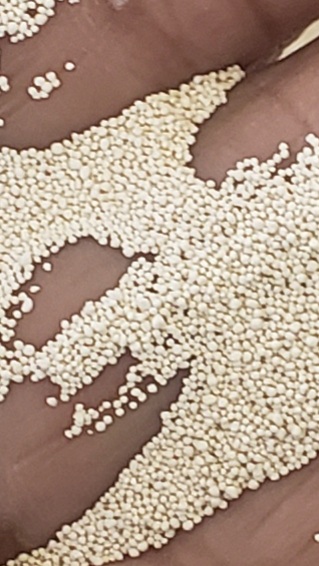 Merck and Johnson and Johnson play nice…now can others? – psychologistmimi