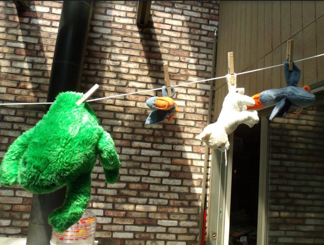 The power of whimsy – psychologistmimi