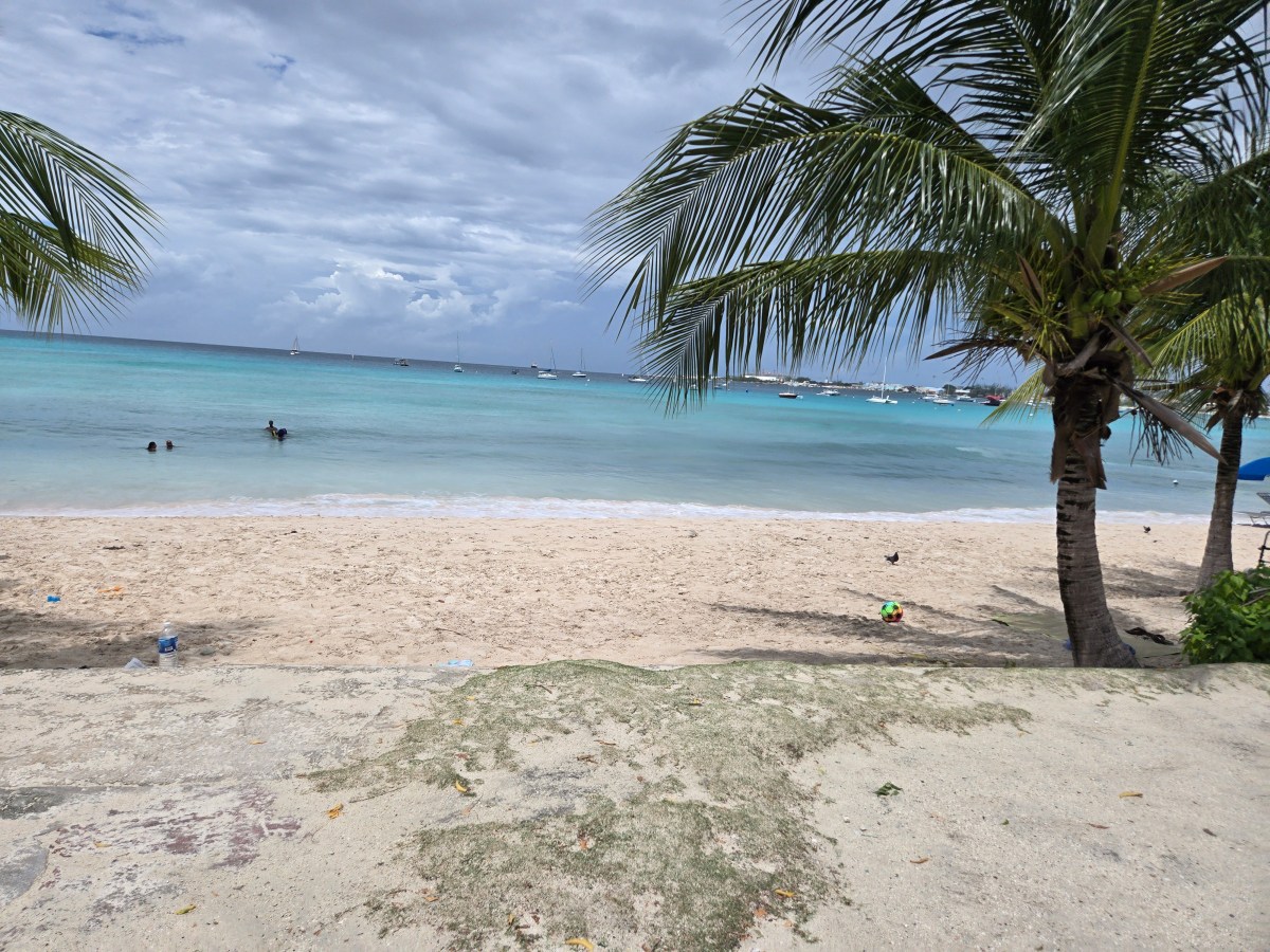 Barbados Bliss: Sun, Rum, and Monkey Shenanigans – psychologistmimi